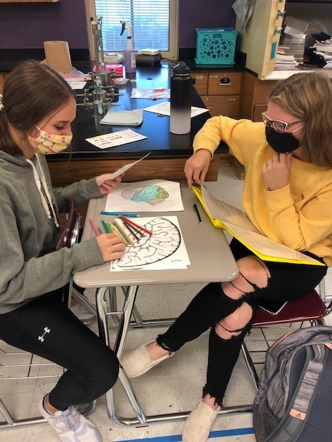 do-wchs-pltw-human-body-systems-have-a-brain-warsaw-community-high